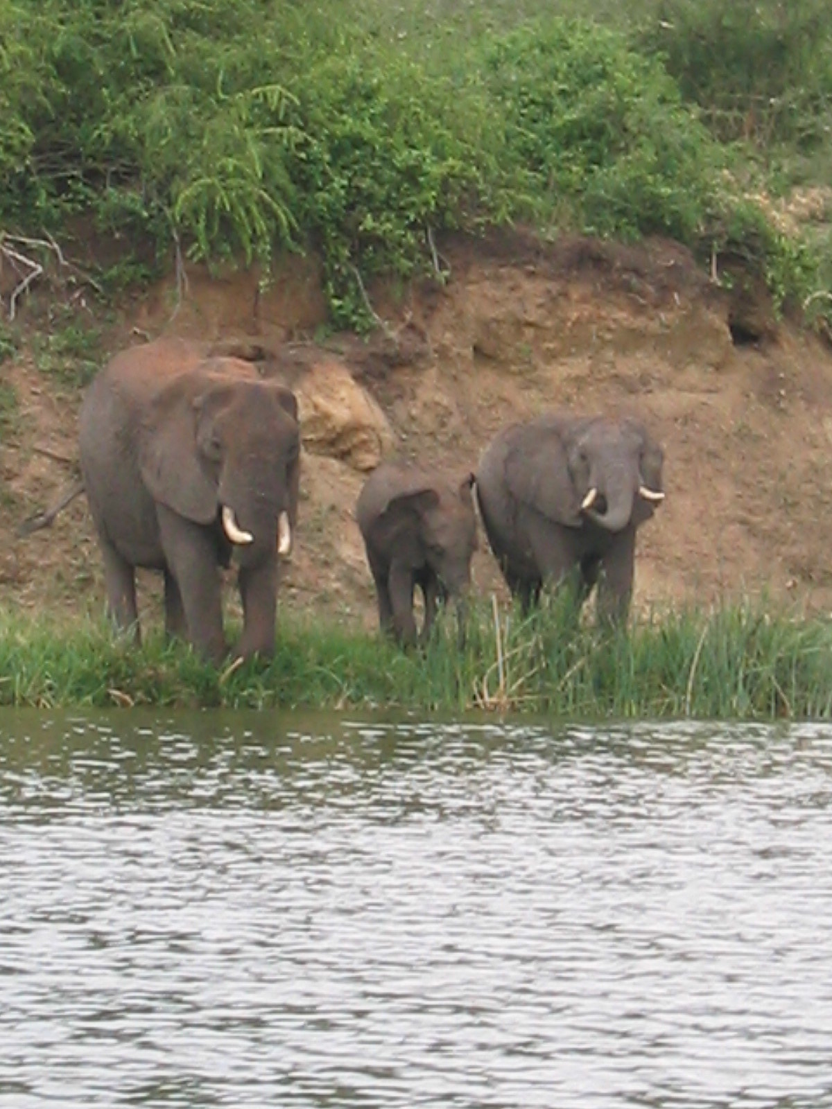 Kidepo Valley National Park : Wildlife Safari Destination in Uganda