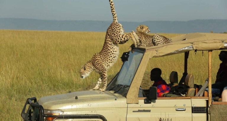 Where is Kenya, facts, location, Map , all what to know