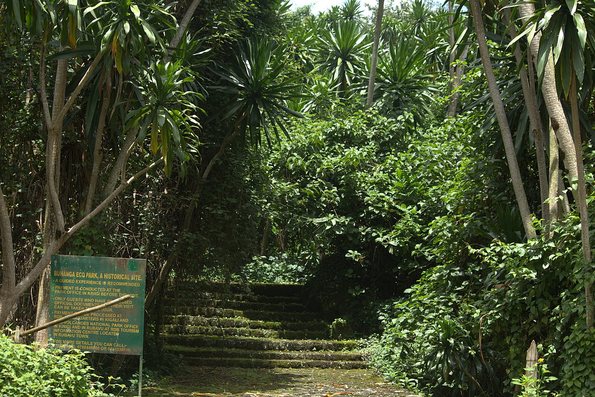 Buhanga Forest Hike: Nature Walks in Volcanoes national Park
