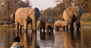 Guide to Marsabit National Reserve