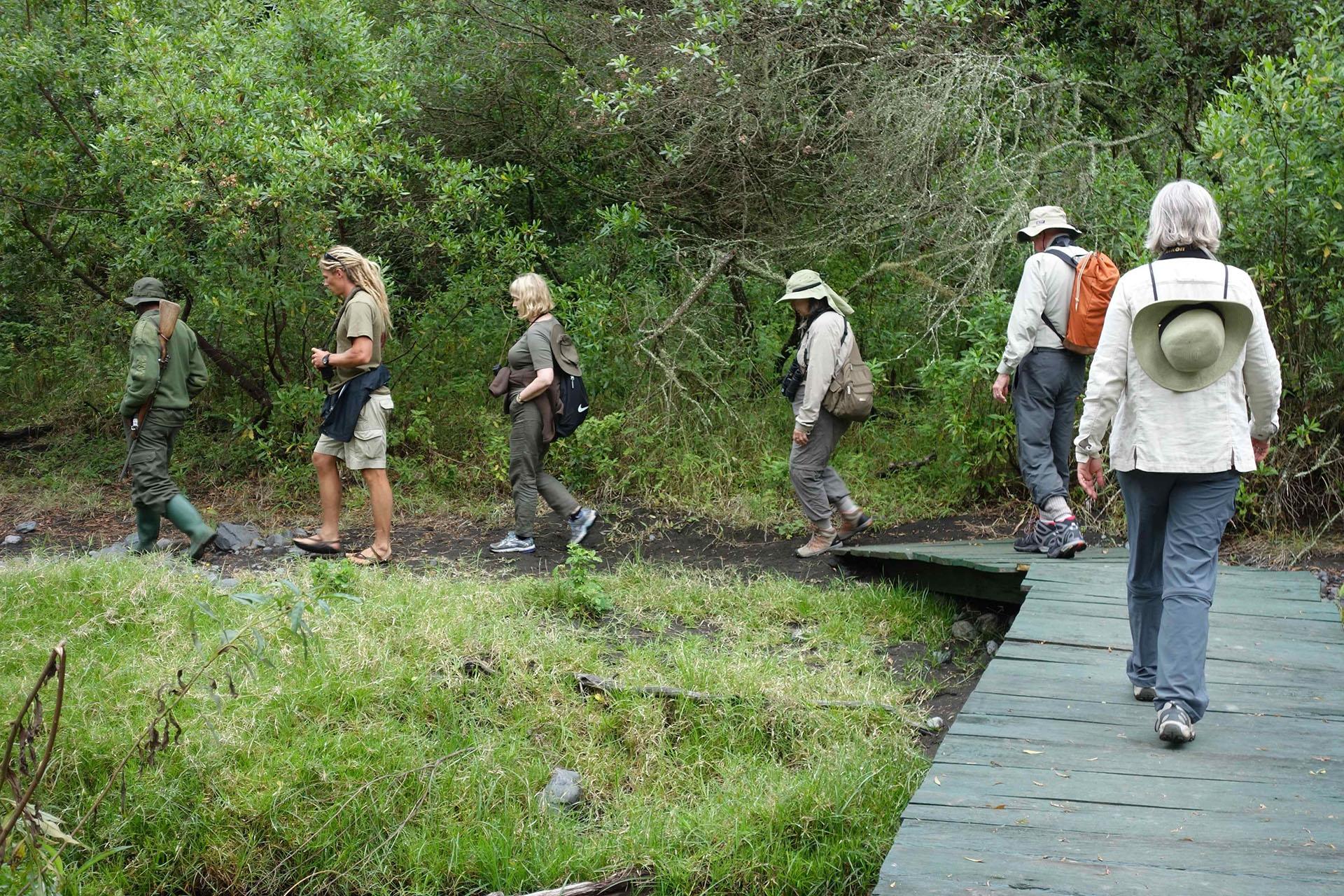 Animals & Wildlife in Arusha national park