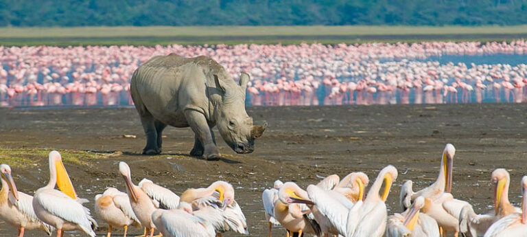 Lake Baringo National Reserve